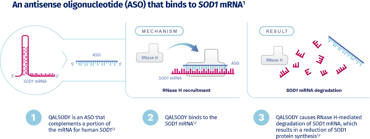 Mechanism of Action | QALSODY® (tofersen)